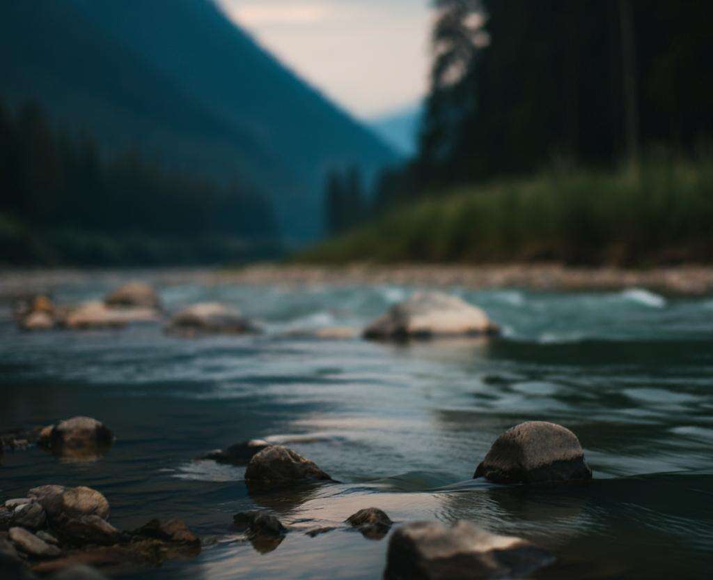 Fixed-focus lens or Autofocus lens?Learn the Best choose for your application